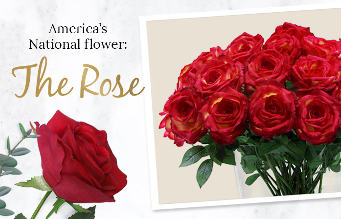 National Flower Of Usa Images | Best Flower Site